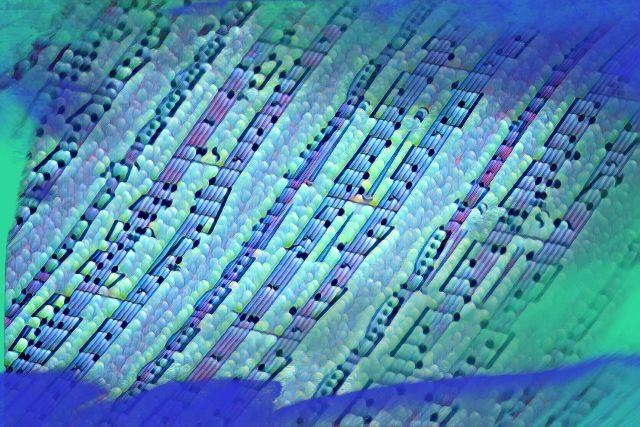 Patterns in Music: What They Are & How to Use Them